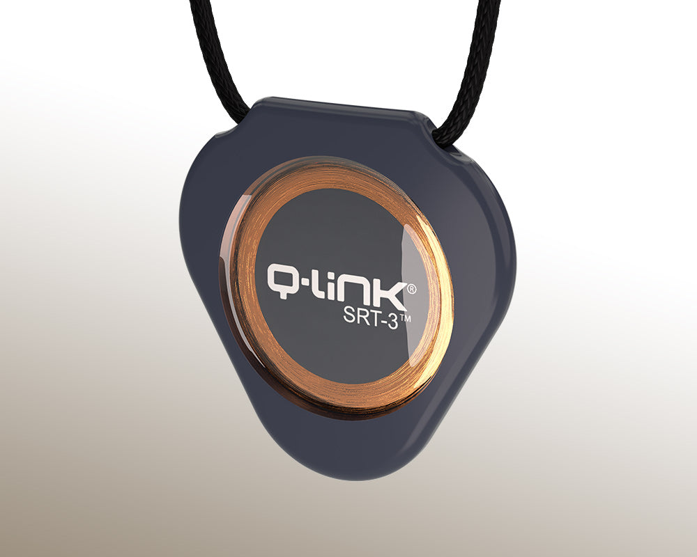 Q-LINK RETAIL PARTNER PROGRAM - Q-Link Business Center